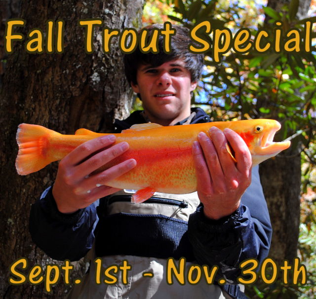 Fall Trout